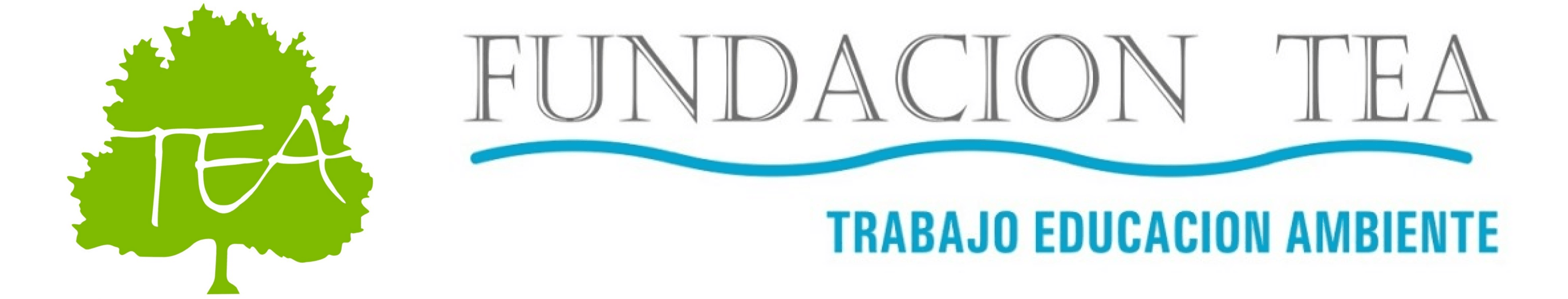 Fundación T.E.A.